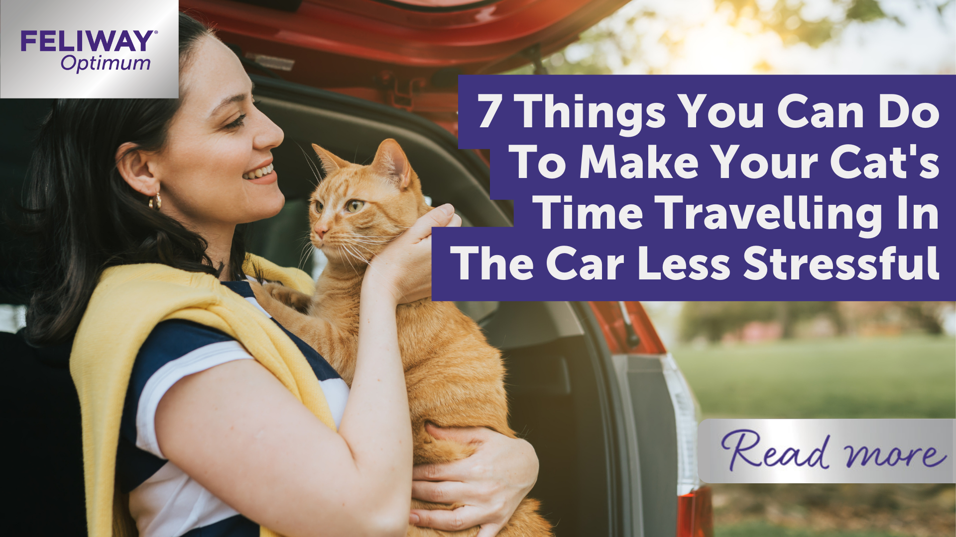 7 Things That Make A Cats Time In The Car Less Stressful.