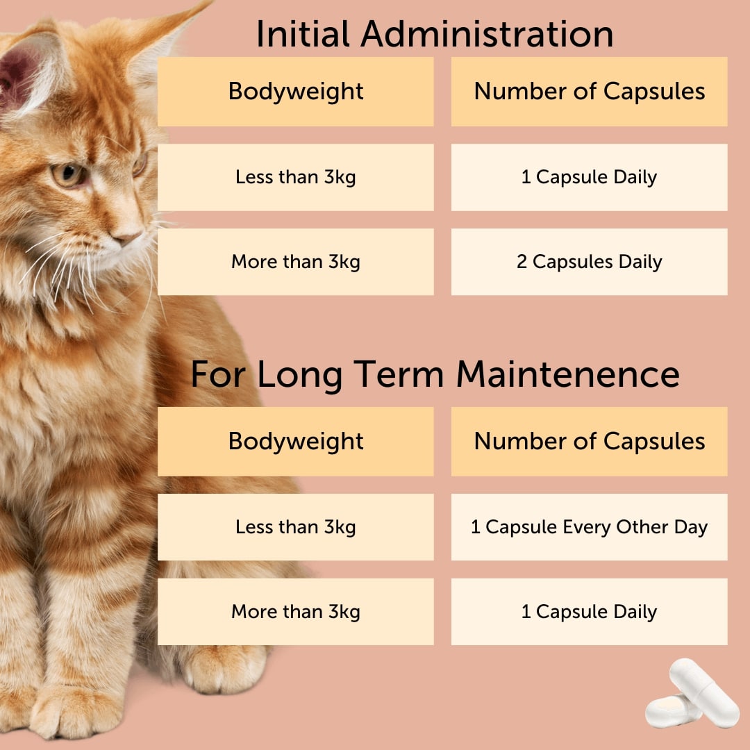 FELIWAY Cystease | Urinary Tract Supplement for Cats