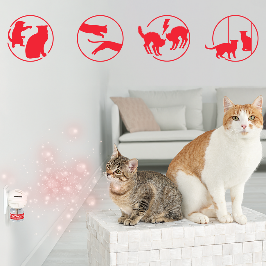 FELIWAY Cat Calming Diffusers