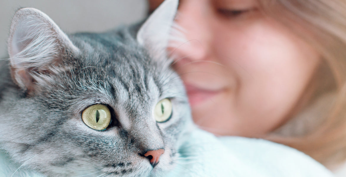 FELIWAY Help! Diffuser Kit | Cat Pheromone Plug-In