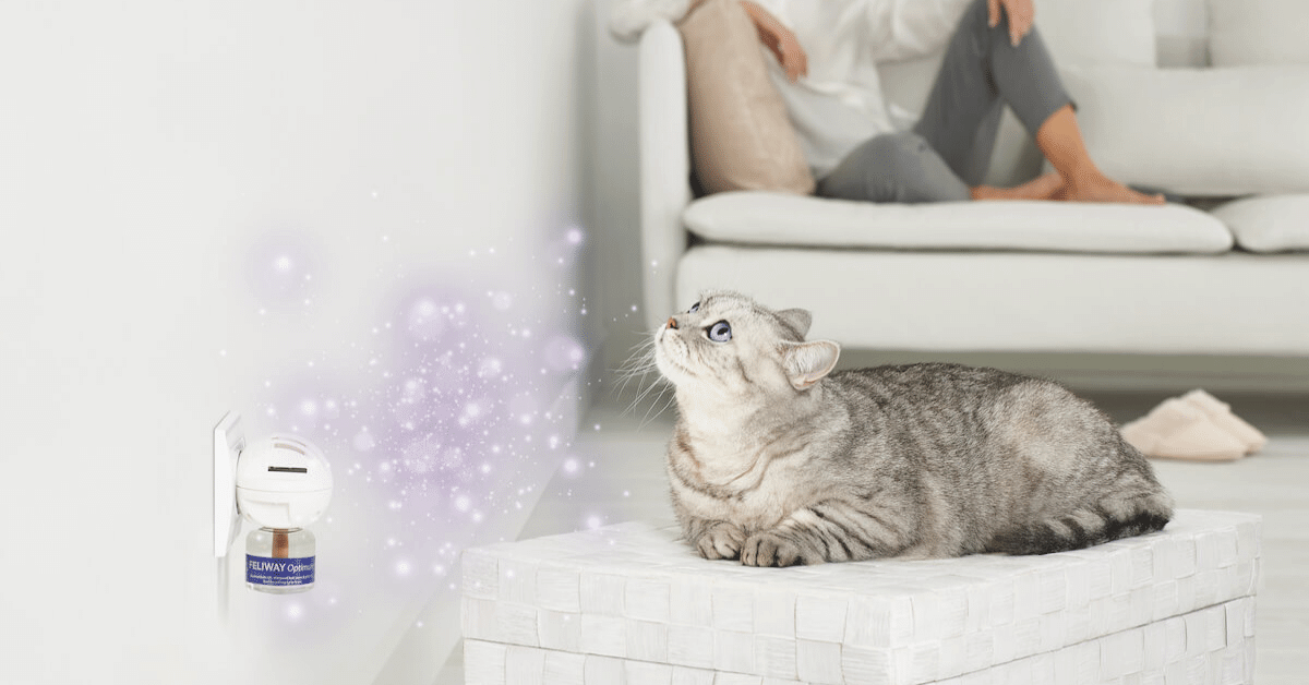 FELIWAY Optimum Refill | Calming Cat Pheromone Diffuser