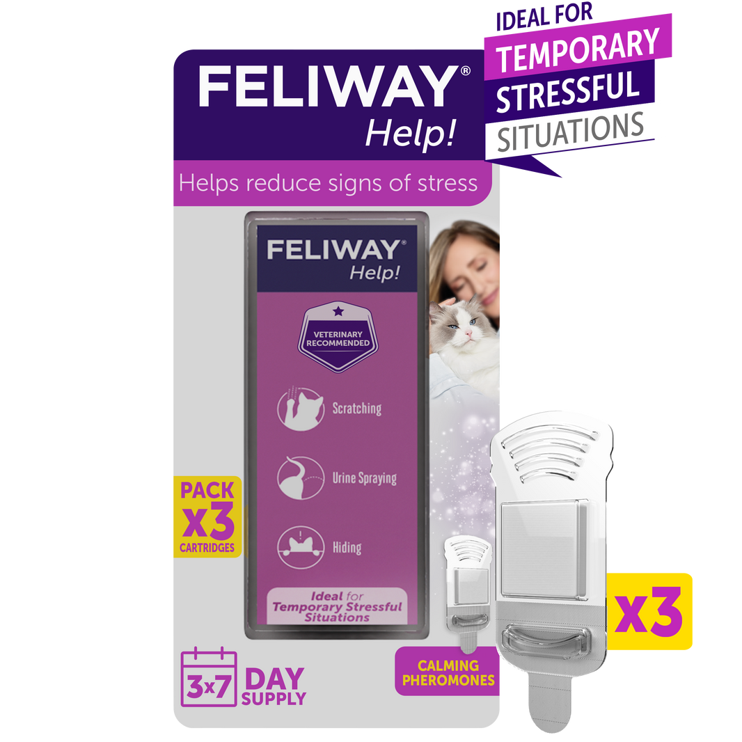 Feliway UK