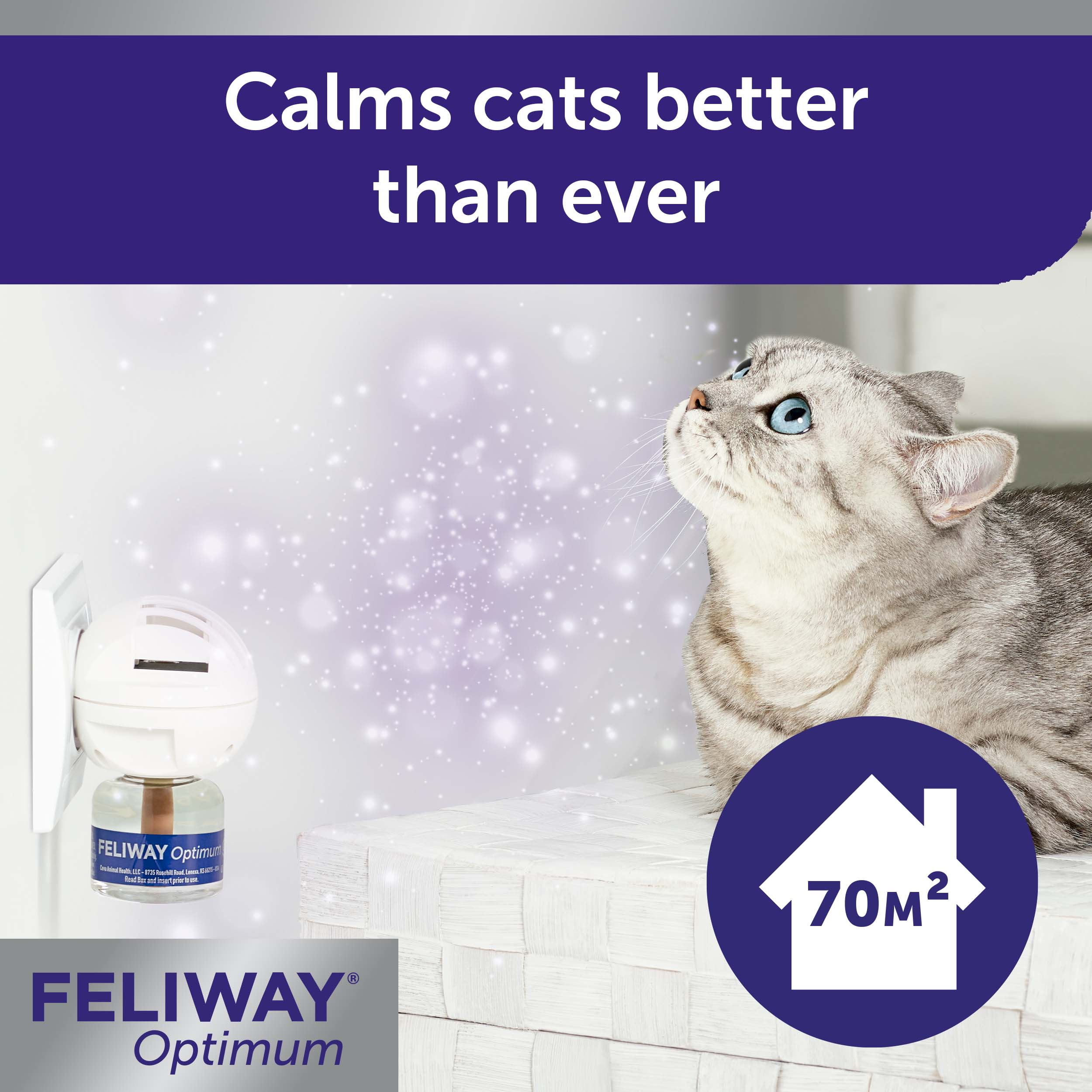FELIWAY Optimum Refill | Calming Cat Pheromone Diffuser