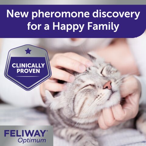 FELIWAY Optimum Starter Kit | Cat Calming Pheromones