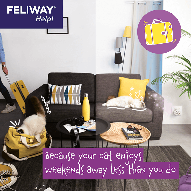 FELIWAY Help! | 7 Days Cat Stress Relief | Cat Pheromones